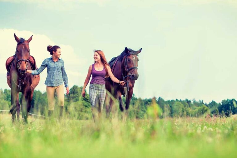Understanding Your Horse Insurance Responsibilities - Royalton Equine ...