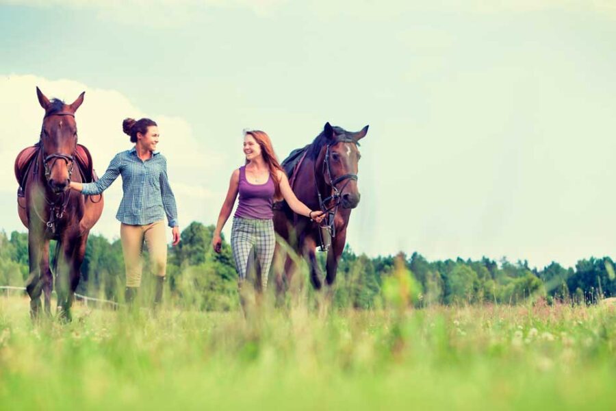 Understanding Your Horse Insurance Responsibilities - Royalton Equine ...
